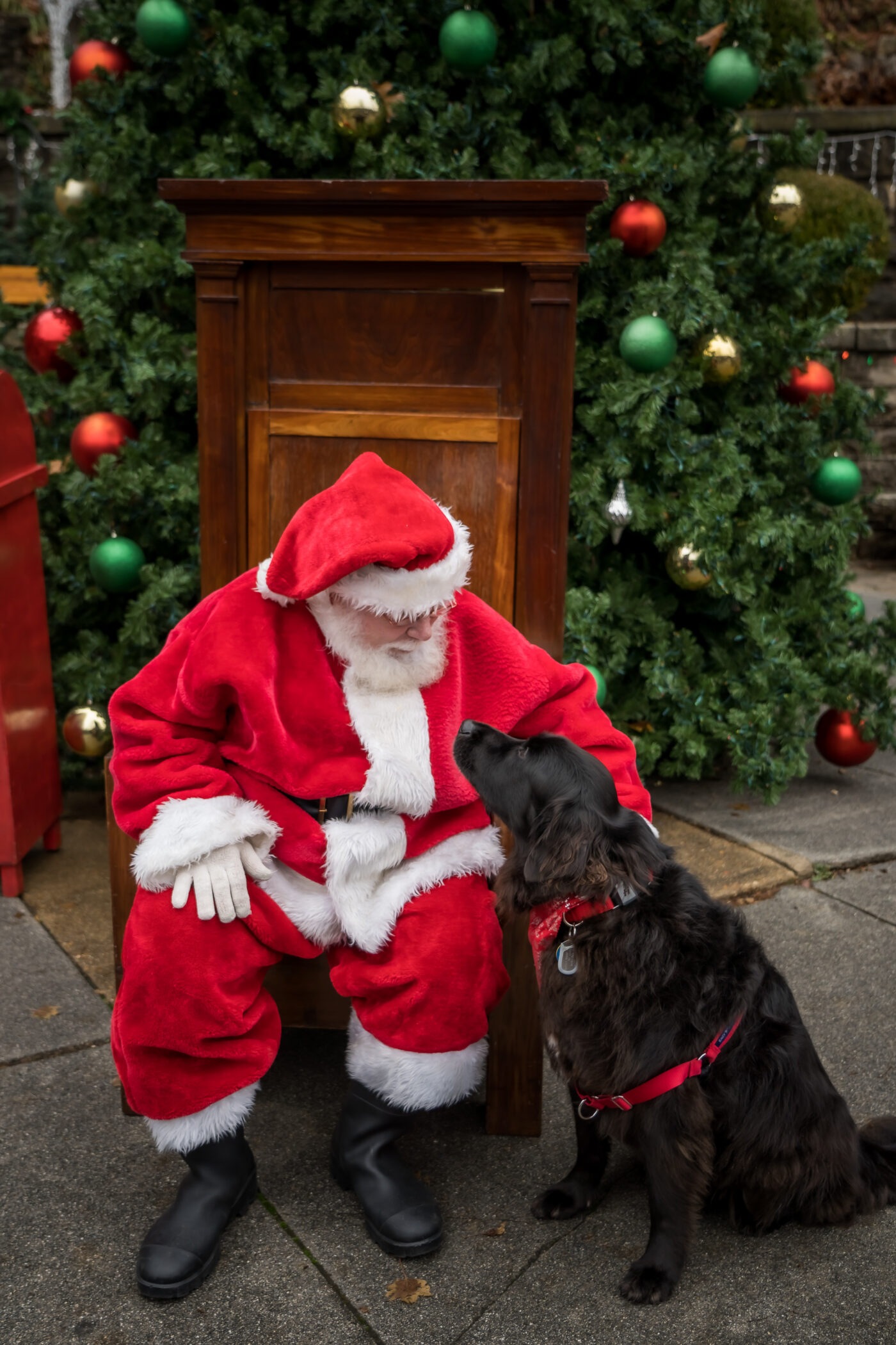 Basin Spring Park – Eureka Springs